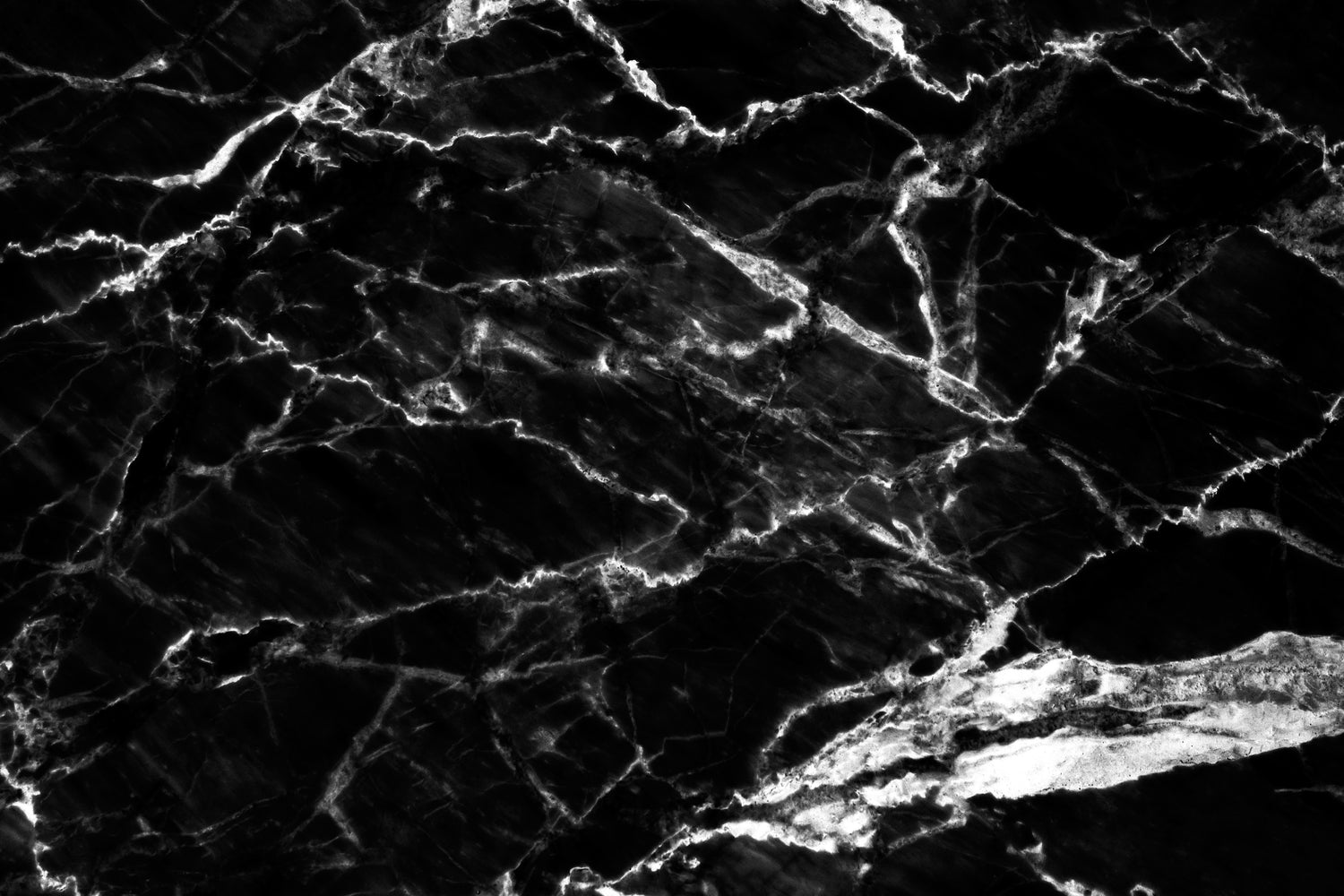 Our Story – The Watch Co Australia